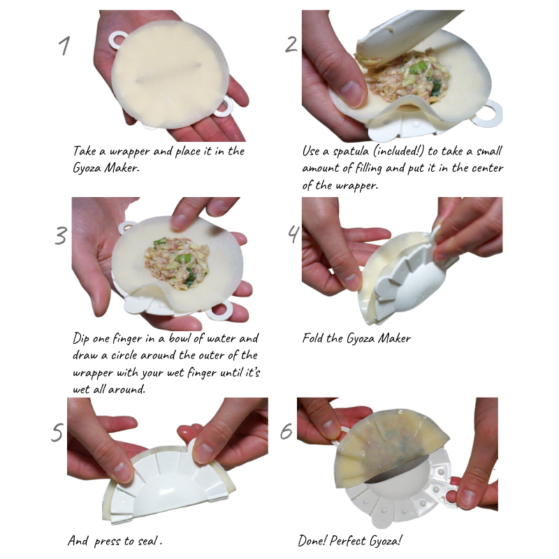 Easy Gyoza (Dumpling) Maker – hakoco
